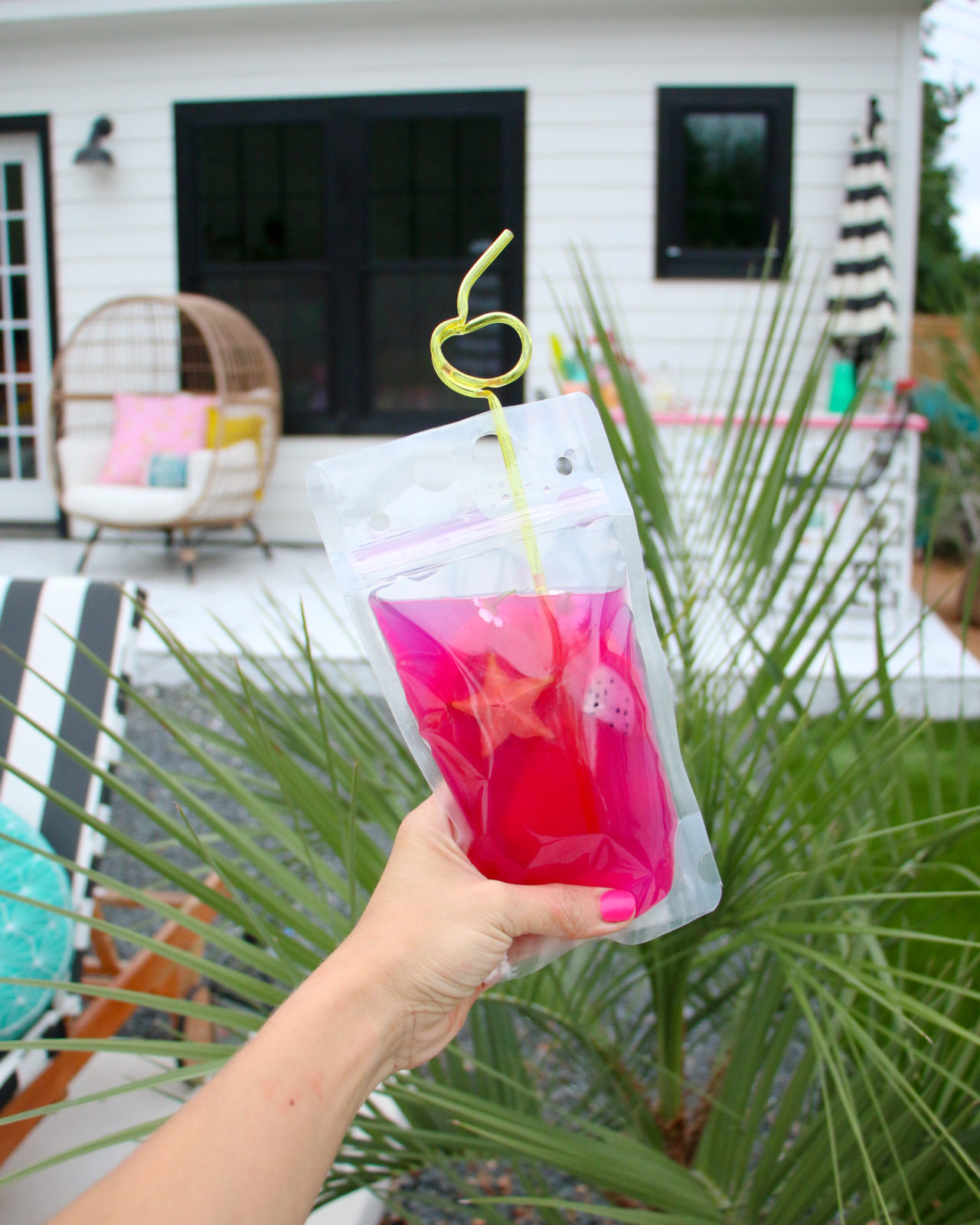 Pineapple Dragon Fruit Vodka Sour Cocktail Pouches - A Kailo Chic Life